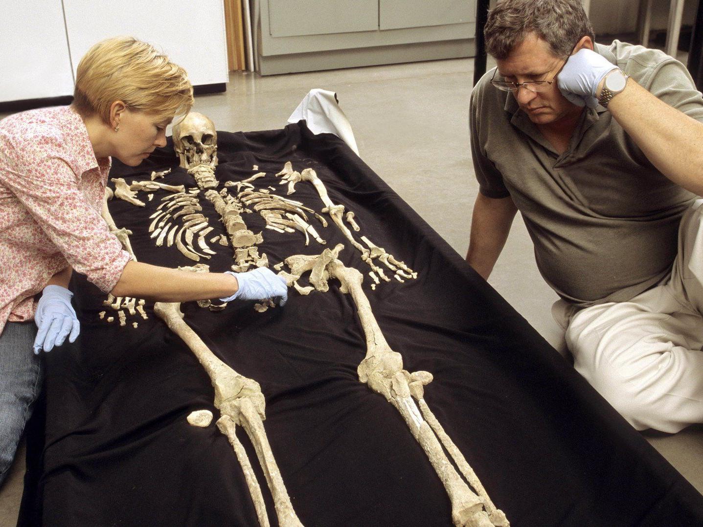 Kennewick Man- The Ancient one - AnthroMania