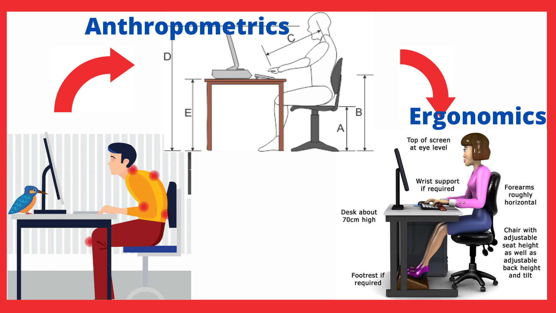 Ergonomics Ergonomics