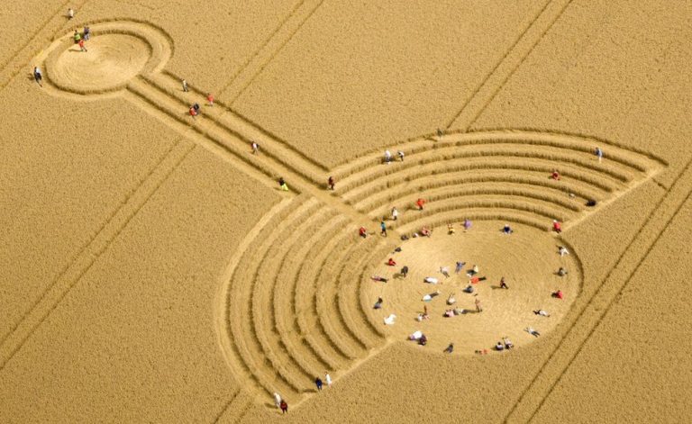 The story behind Crop Circles - AnthroMania