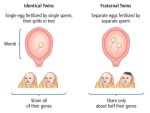 Twin studies- Nature vs. Nurture - AnthroMania